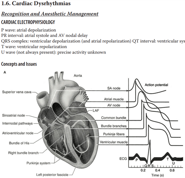 CPC Core Module - Human Physiology and Pathophysiology – Valley Health ...